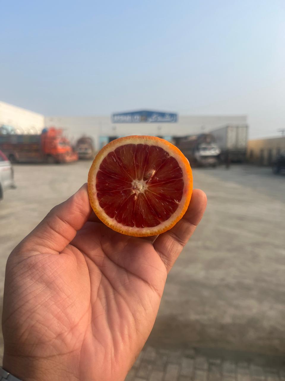 Export Quality Red Blood 10kg box-Limited Edition – Golden Sun Farms